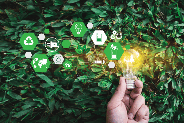 Why Green Start-Ups needs to take part in the Eco-Disruptive Challenge